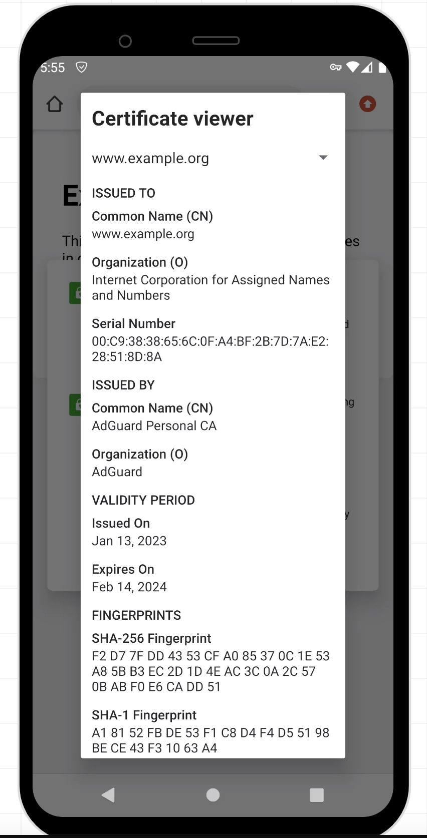 Indicate the HTTPS filtering state and the original certificate in the Filtering log · Issue ...